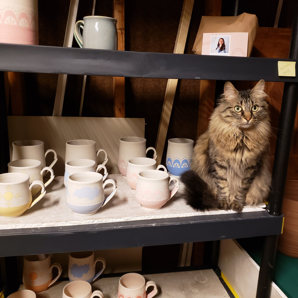 Kitty Approved Pottery Mugs – Christi Becker Pottery